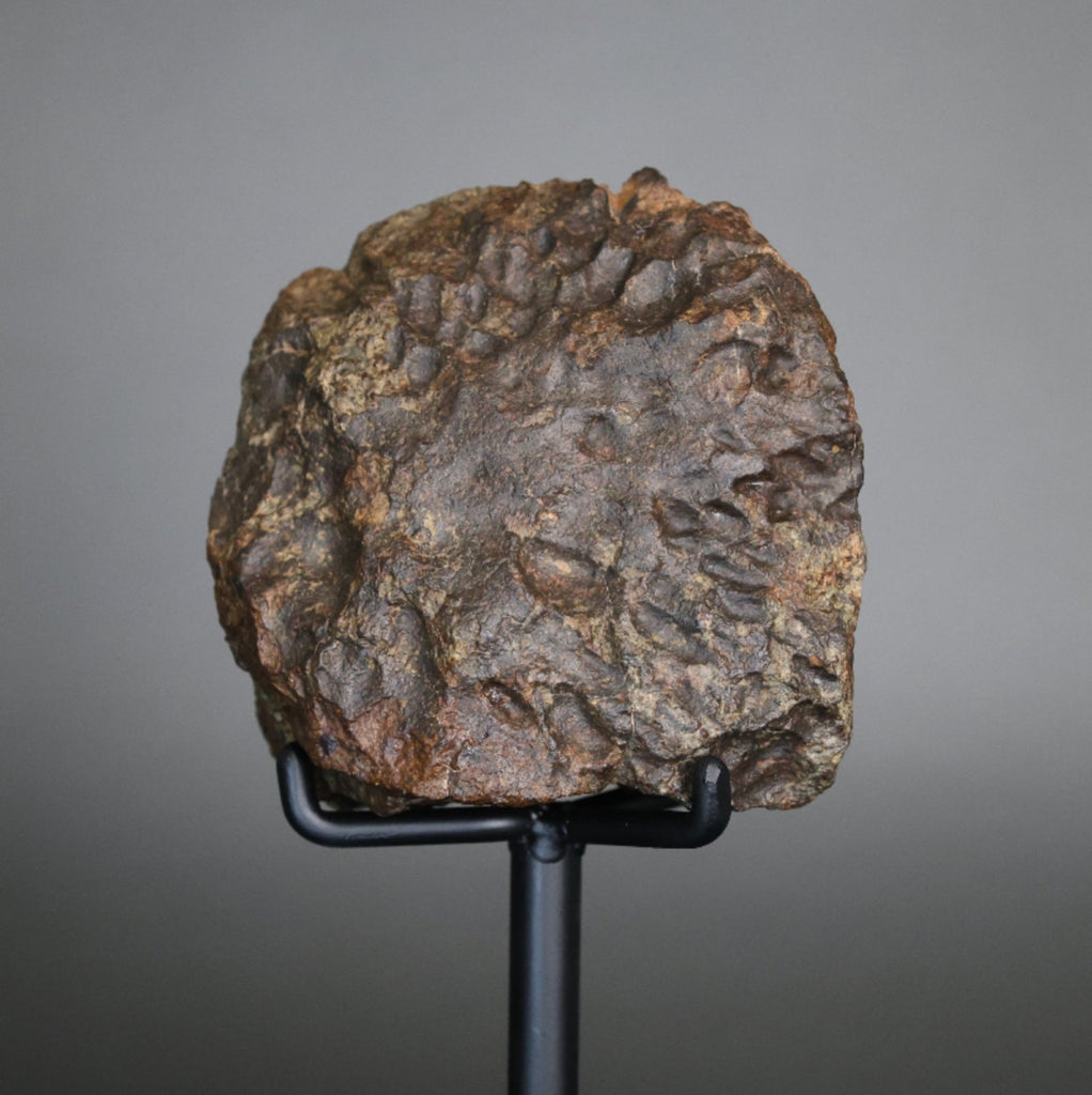 Oriented Chondrite Meteorite - 1.7kg – Fossil Realm