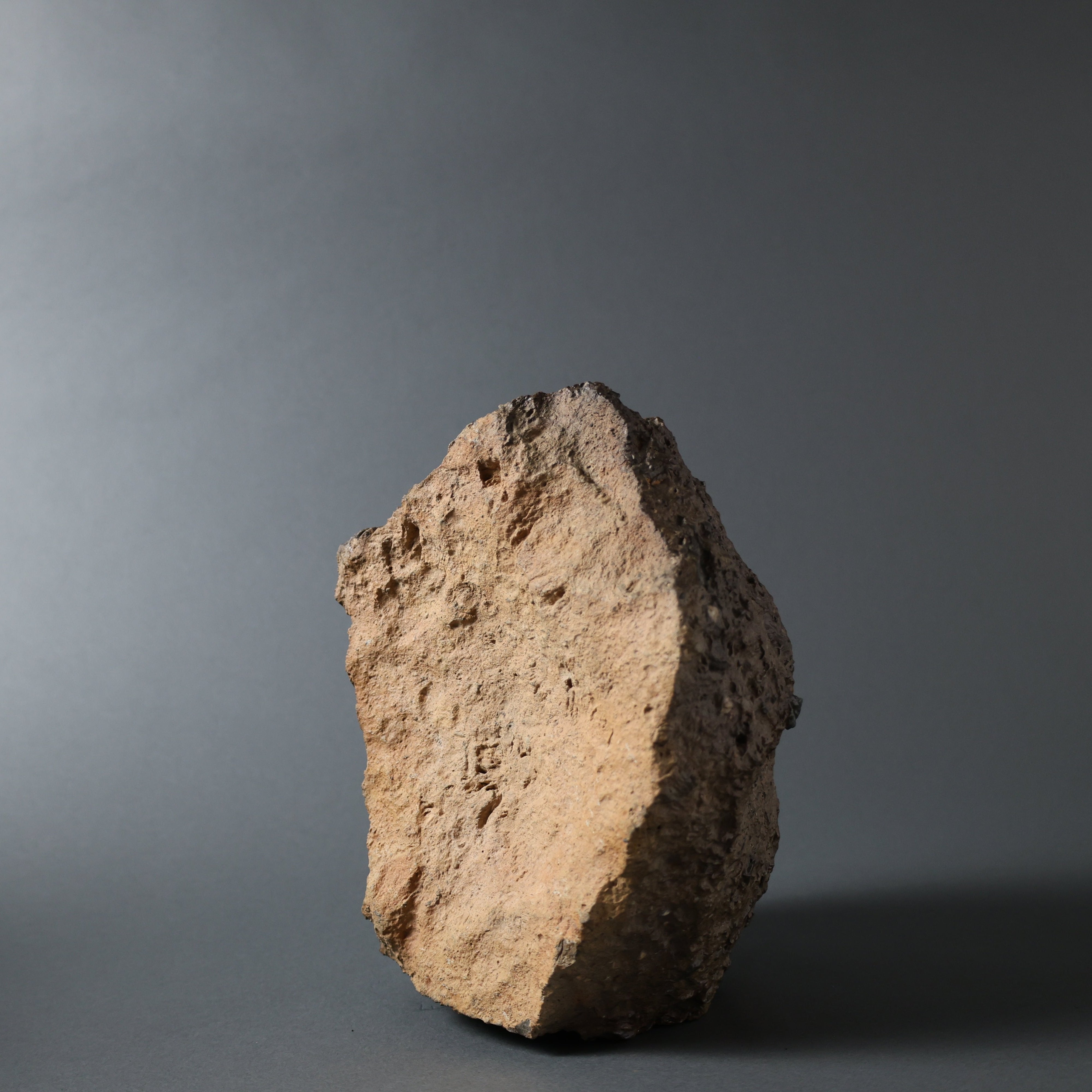 Fossil Realm: Buy Exquisite Fossils & Meteorites