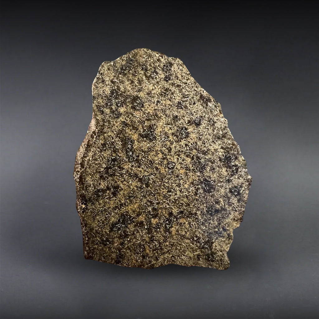 Martian Meteorite Slice, Shergottite - 23.5 grams – Fossil Realm