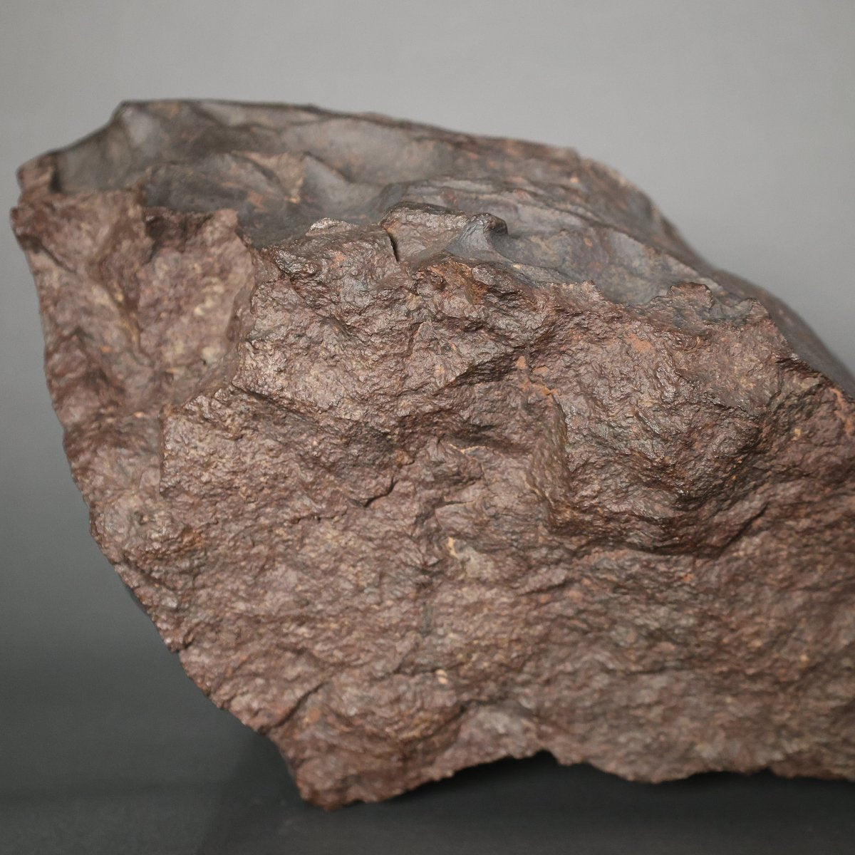New Fossils, Meteorites & Minerals For Sale – Fossil Realm