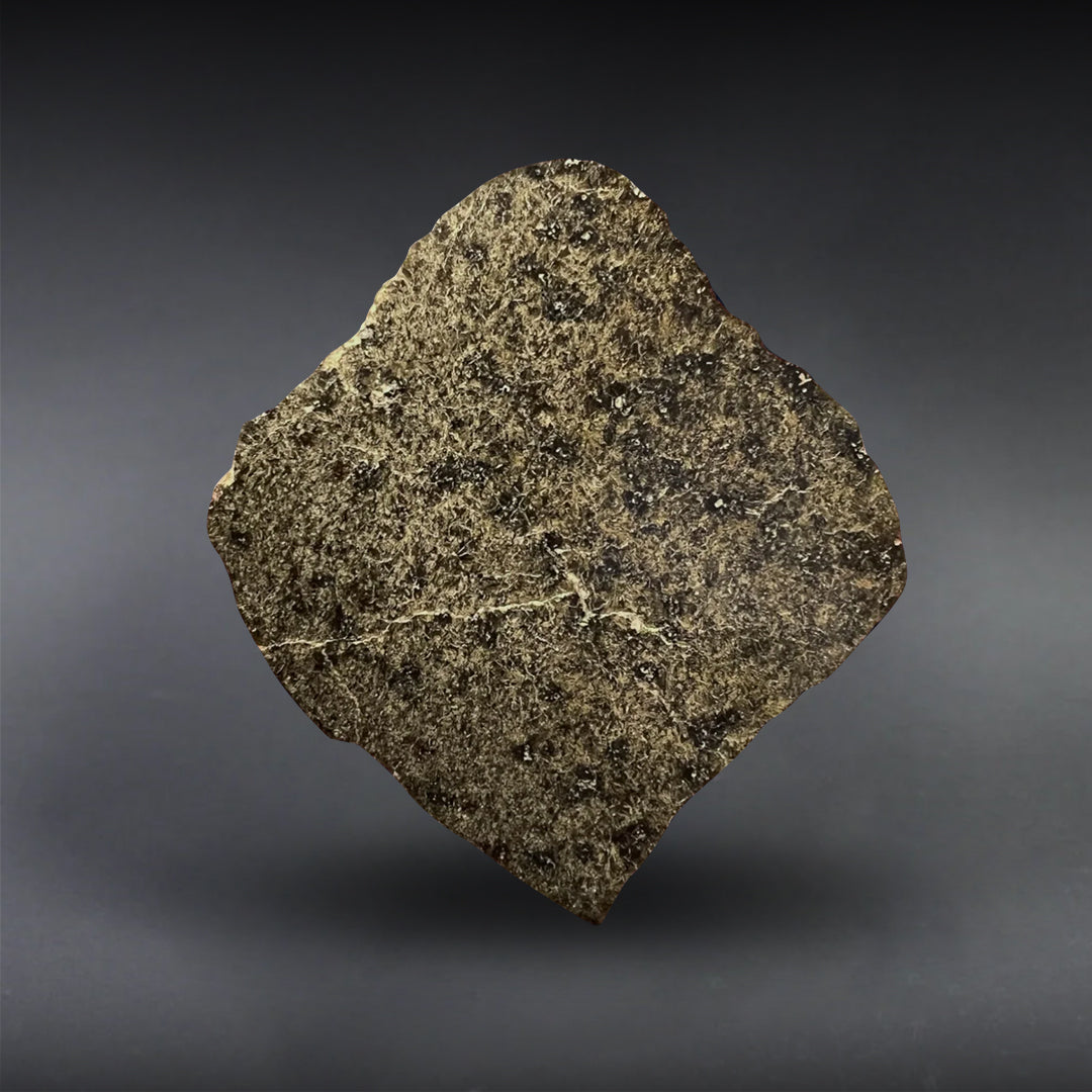 Pyrite Sun for Sale – Fossil Realm