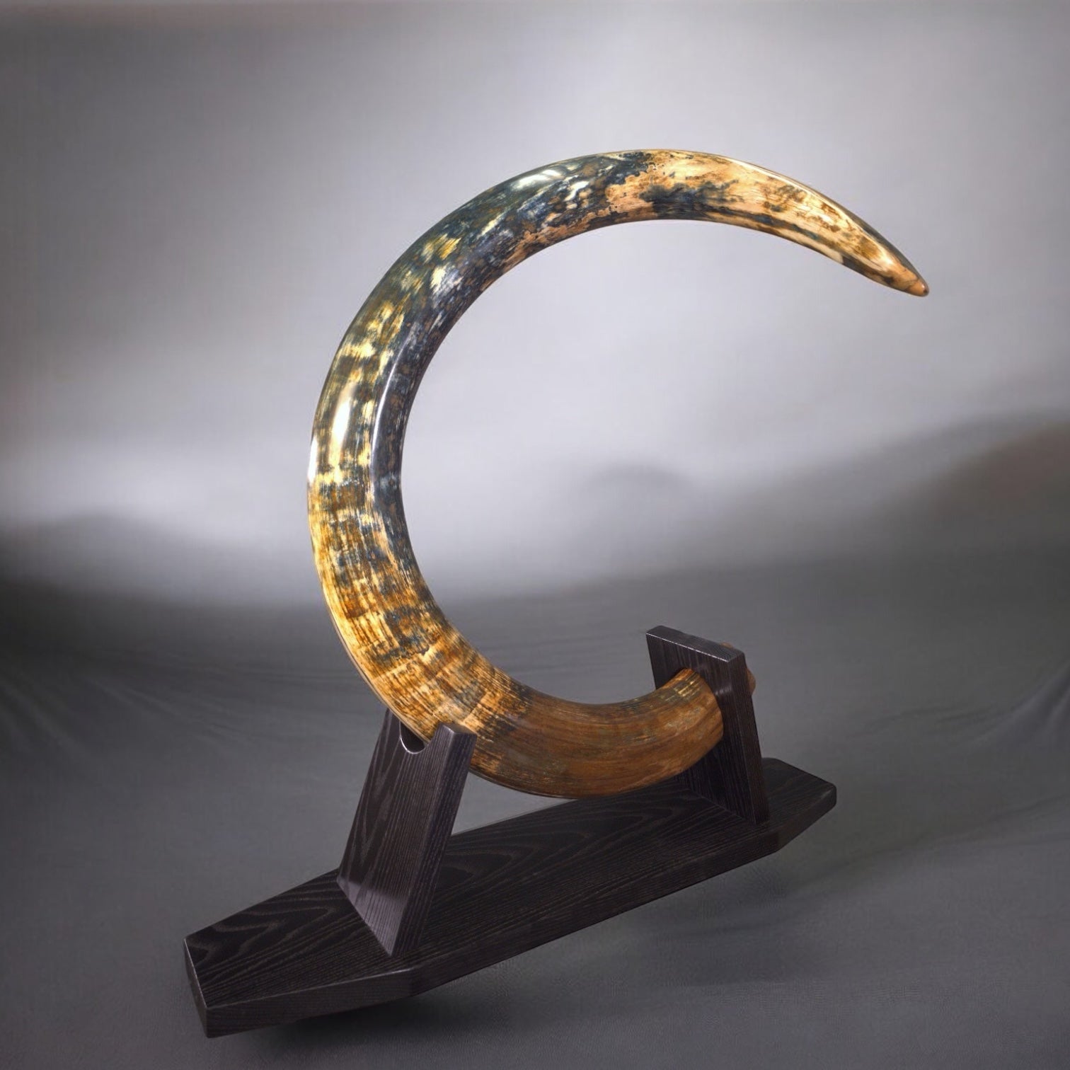 Mammoth Tusks for Sale – Fossil Realm