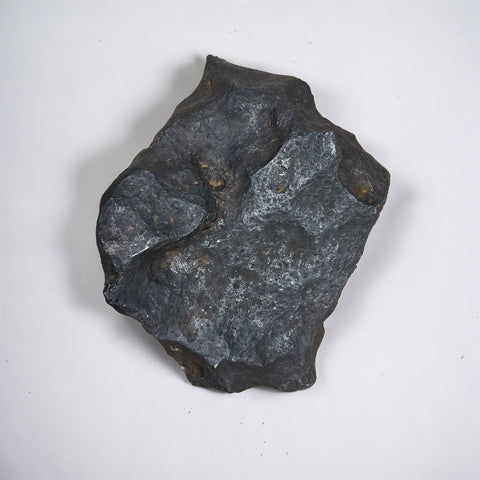 Fossil Realm: Buy Exquisite Fossils & Meteorites Online