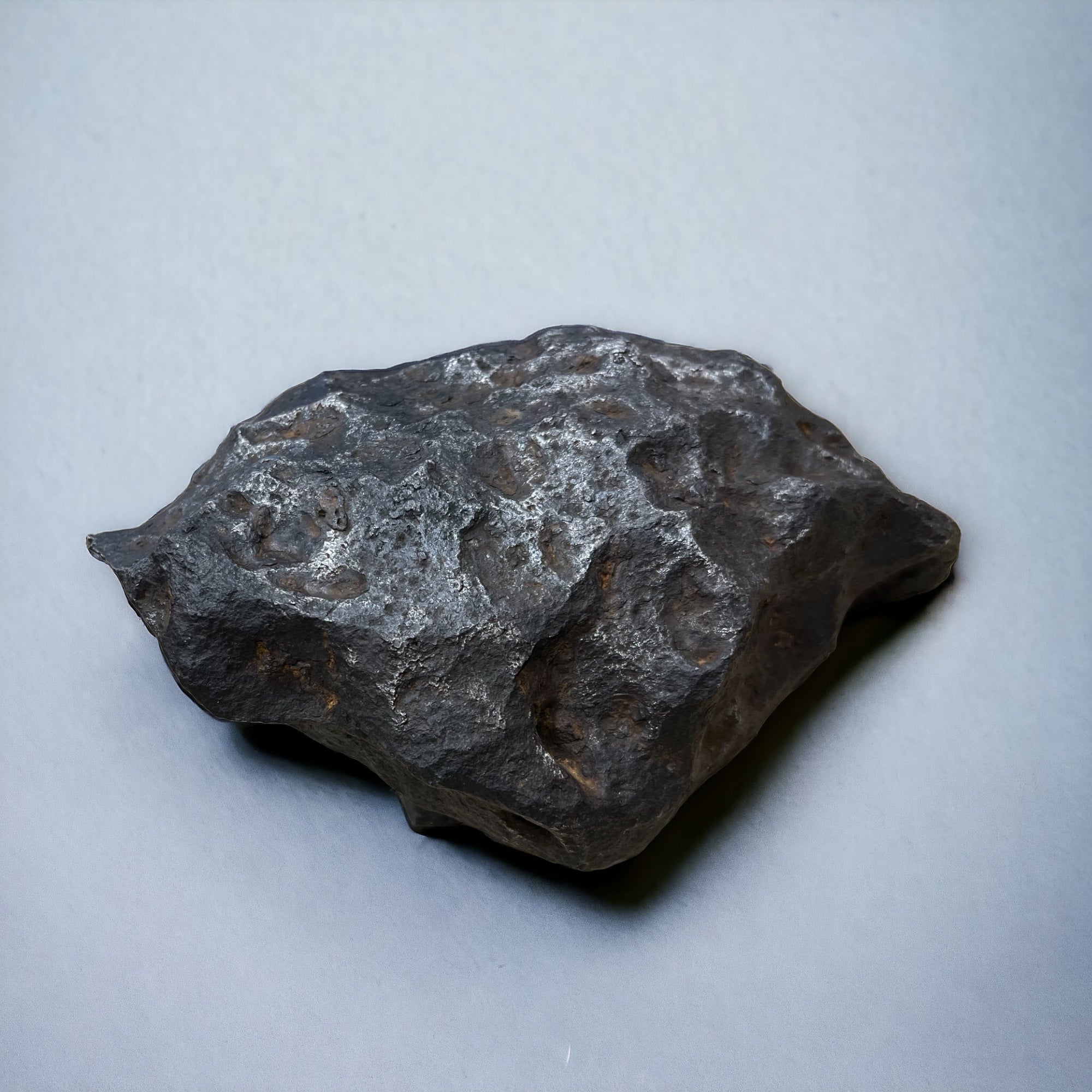 Fossil Realm: Buy Exquisite Fossils & Meteorites Online