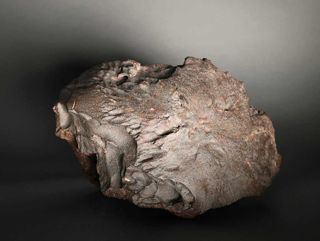 VS #2 - Oriented Stone Meteorite with Flight Lines, 24.7 kg – Fossil Realm