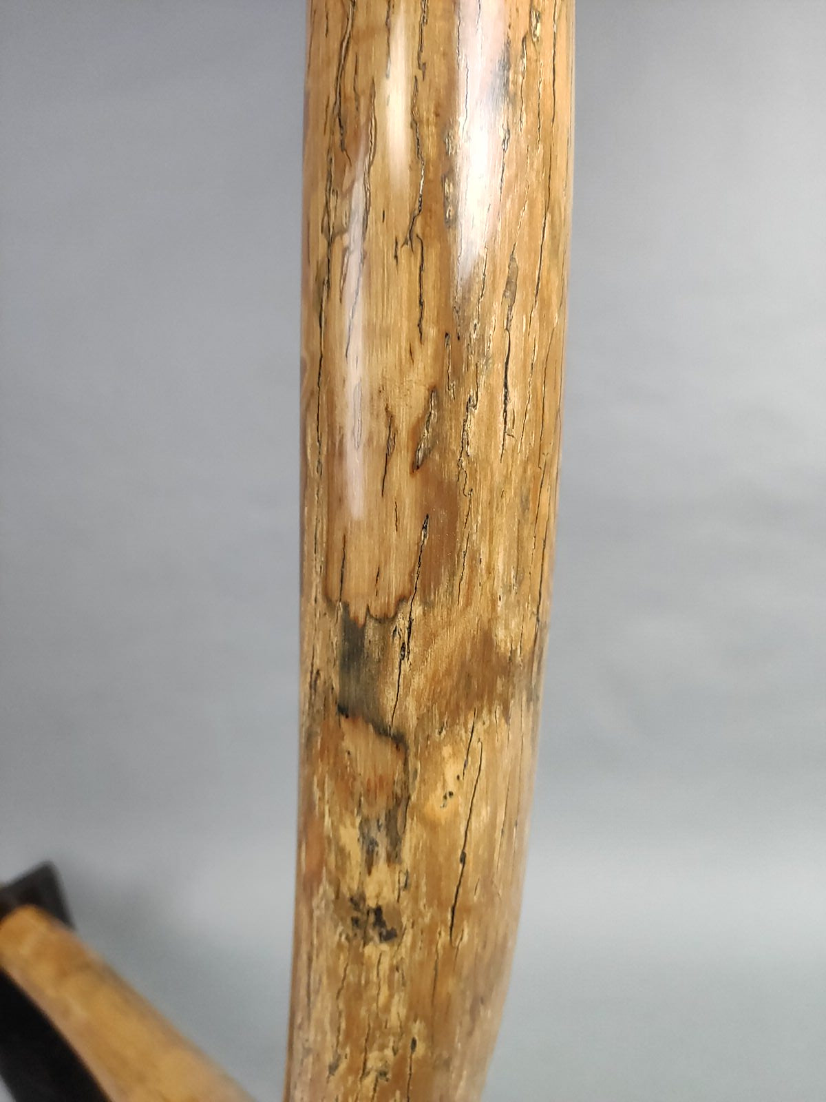 Huge Blue Mammoth Tusk For Sale - Alaska, 119 lbs. - Rare Vivianite ...