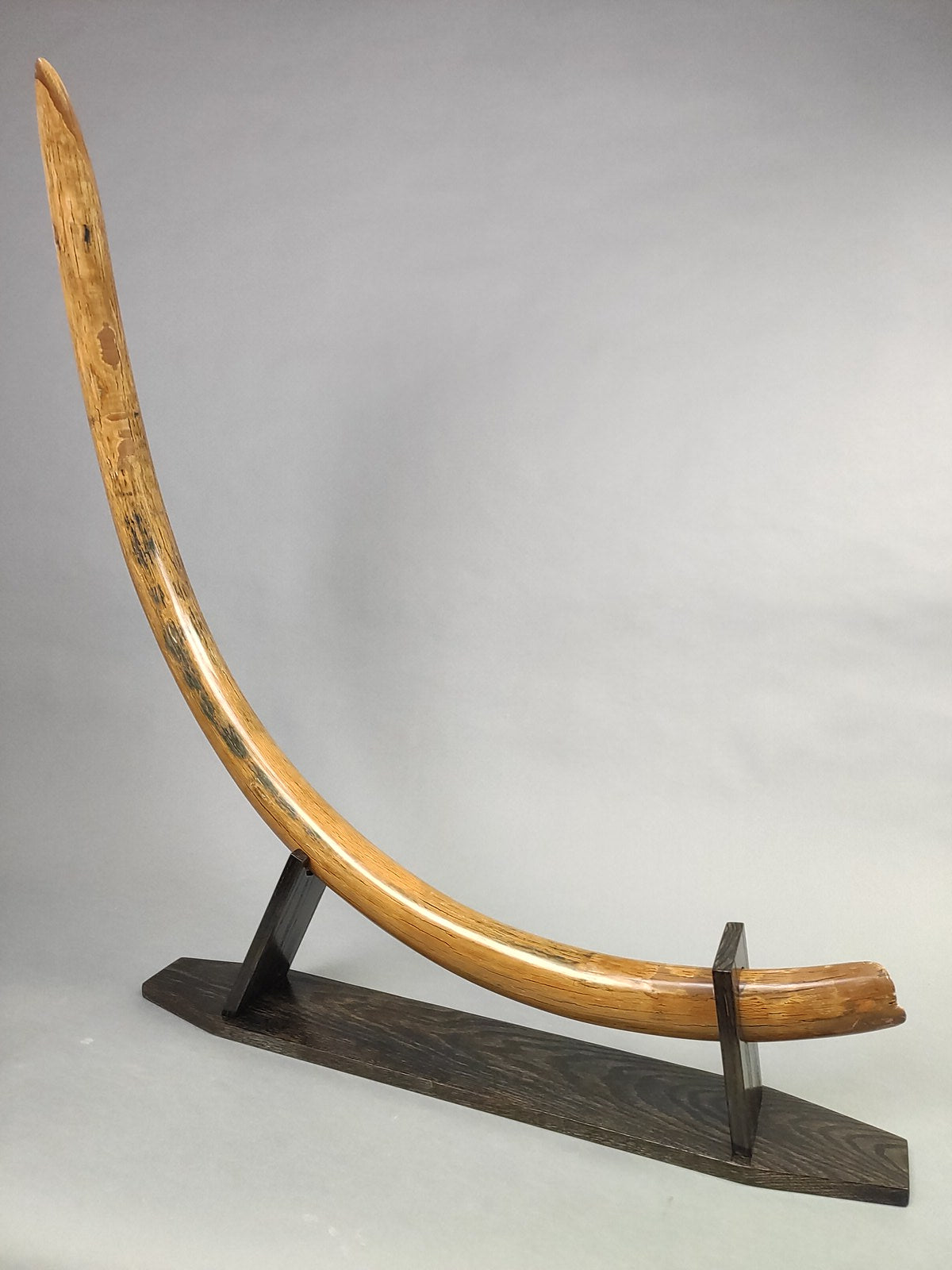 Huge Blue Mammoth Tusk For Sale - Alaska, 119 lbs. - Rare Vivianite ...