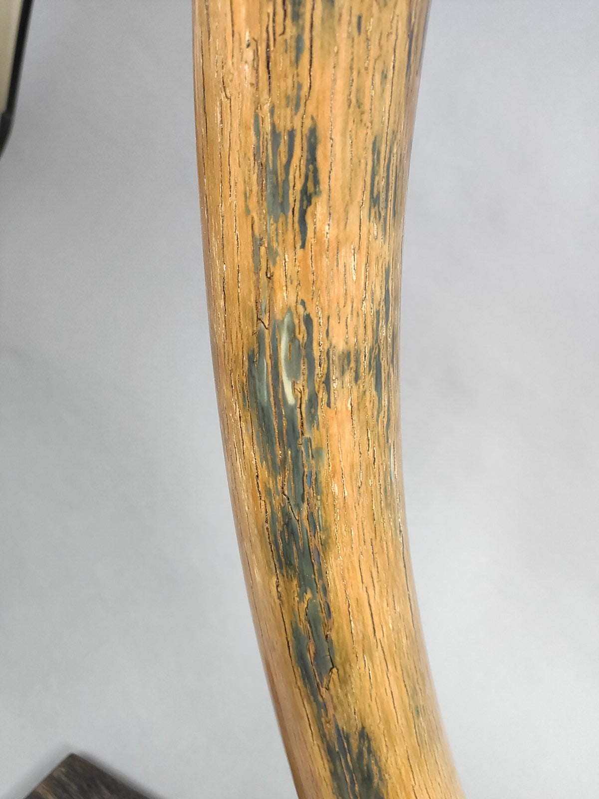 Huge Blue Mammoth Tusk For Sale - Alaska, 119 lbs. - Rare Vivianite ...