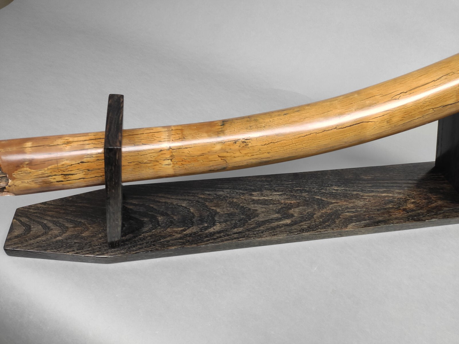 Huge Blue Mammoth Tusk For Sale - Alaska, 119 lbs. - Rare Vivianite ...