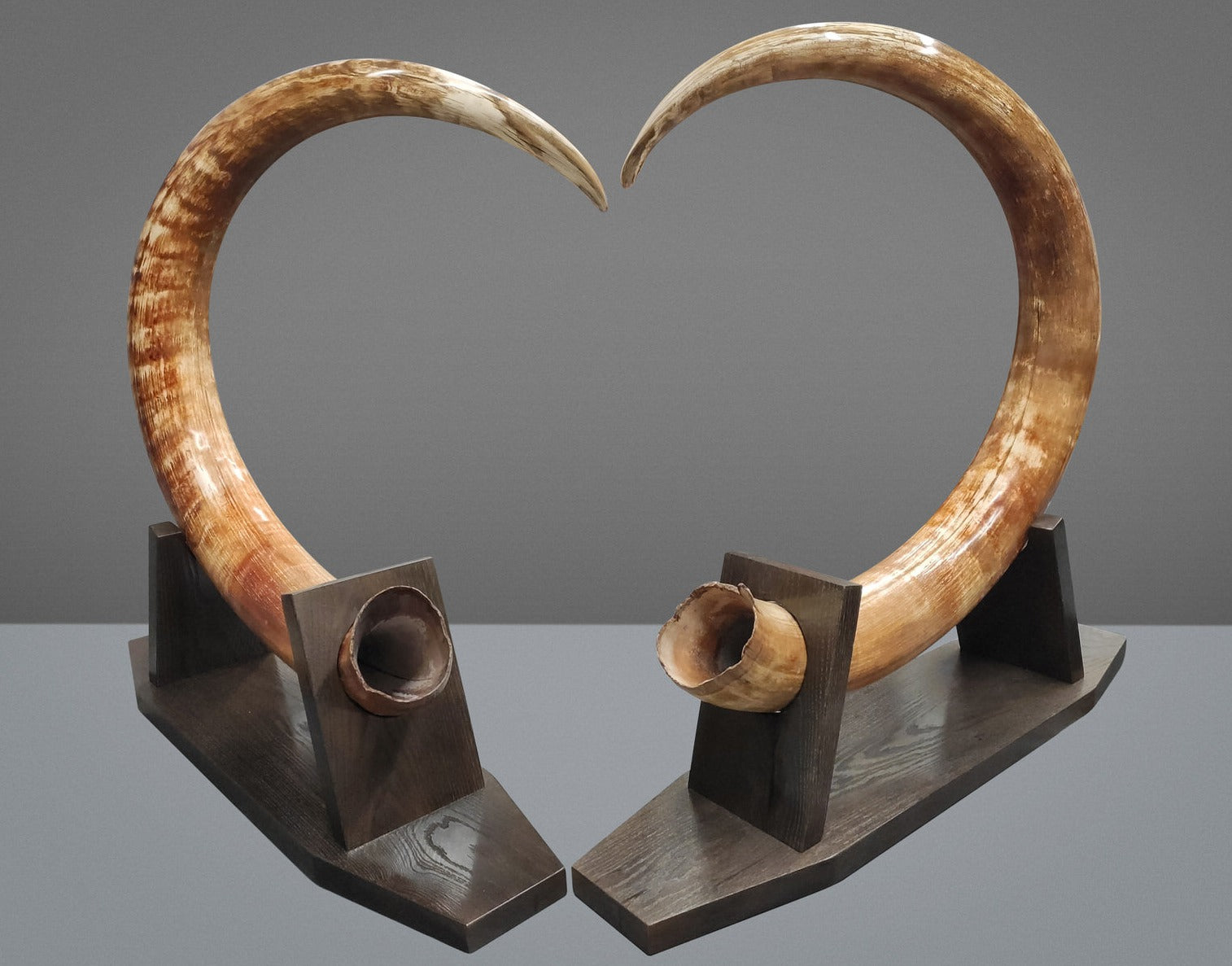 Large Mammoth Tusk Set for Sale – Fossil Realm