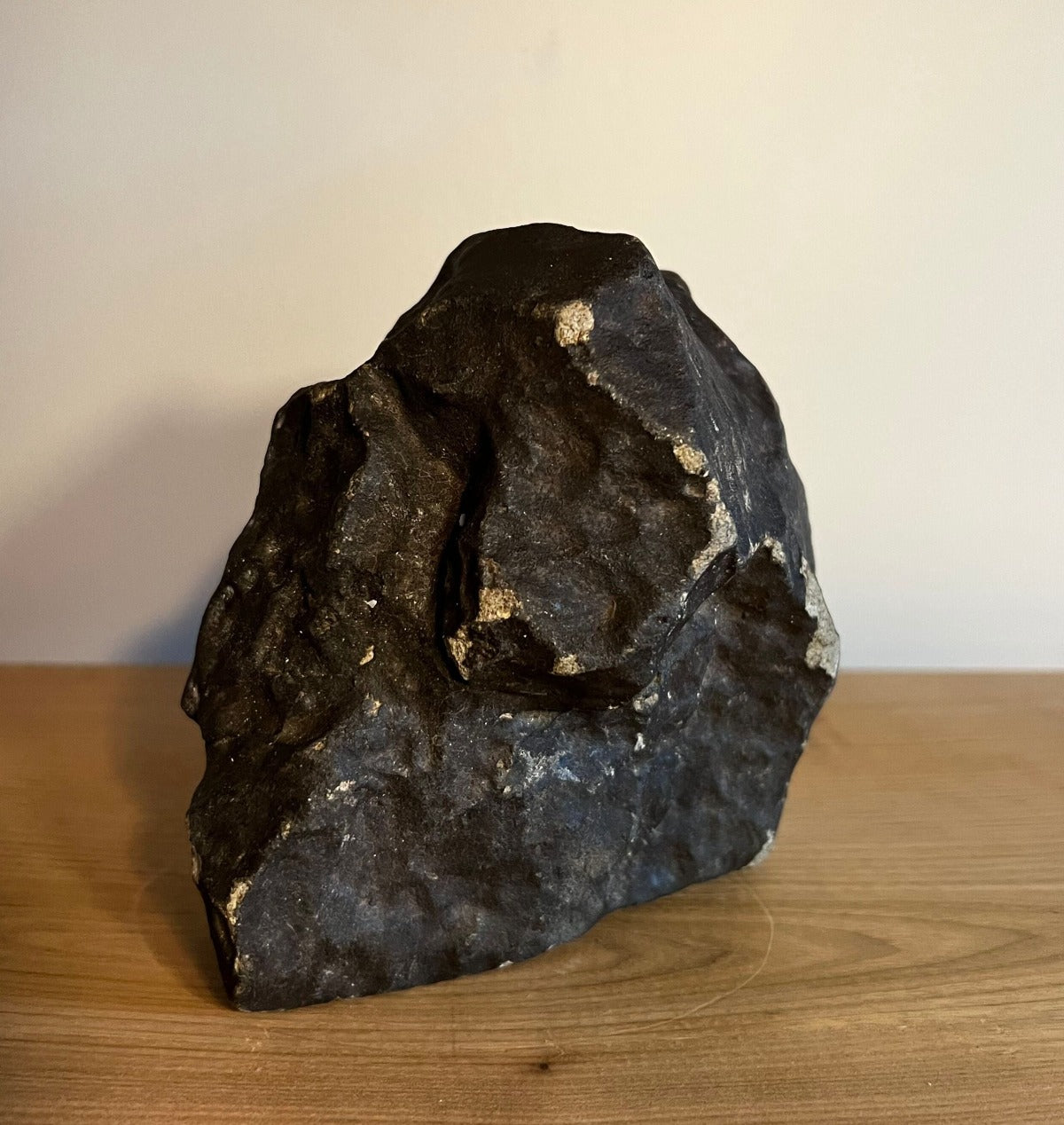 Fossil Realm: Buy Superb Fossils & Meteorites Online