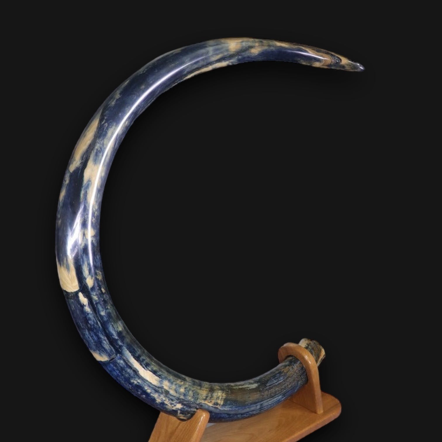 Huge Blue Mammoth Tusk For Sale - Alaska, 119 lbs. - Rare Vivianite ...
