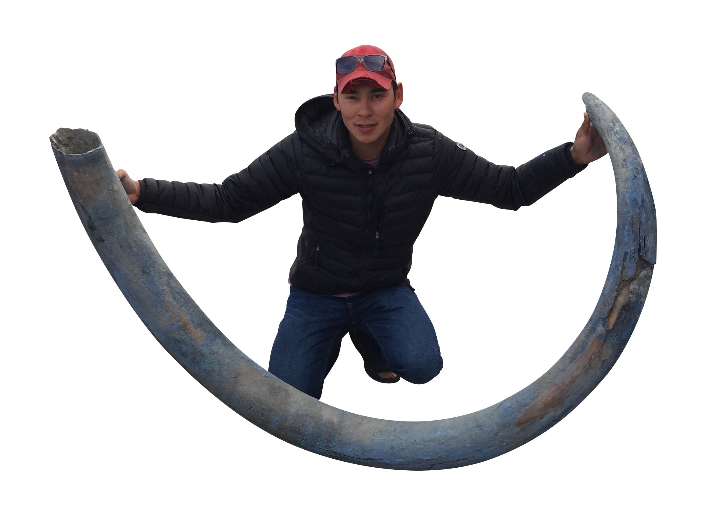 Huge Blue Mammoth Tusk For Sale - Alaska, 119 lbs. - Rare Vivianite ...
